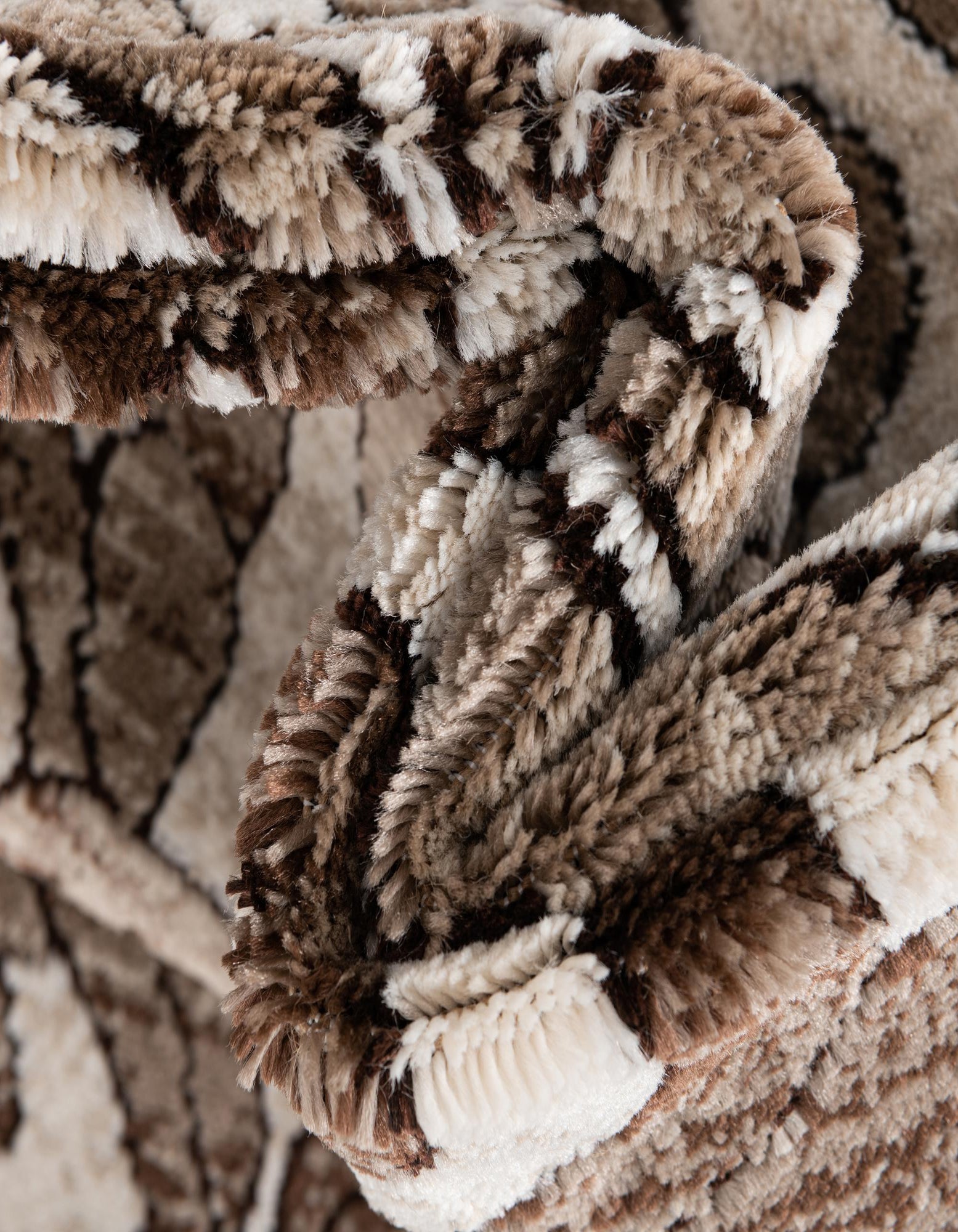 Chocolate Brown 7' x 10' Hermitage Rug | Rugs.com