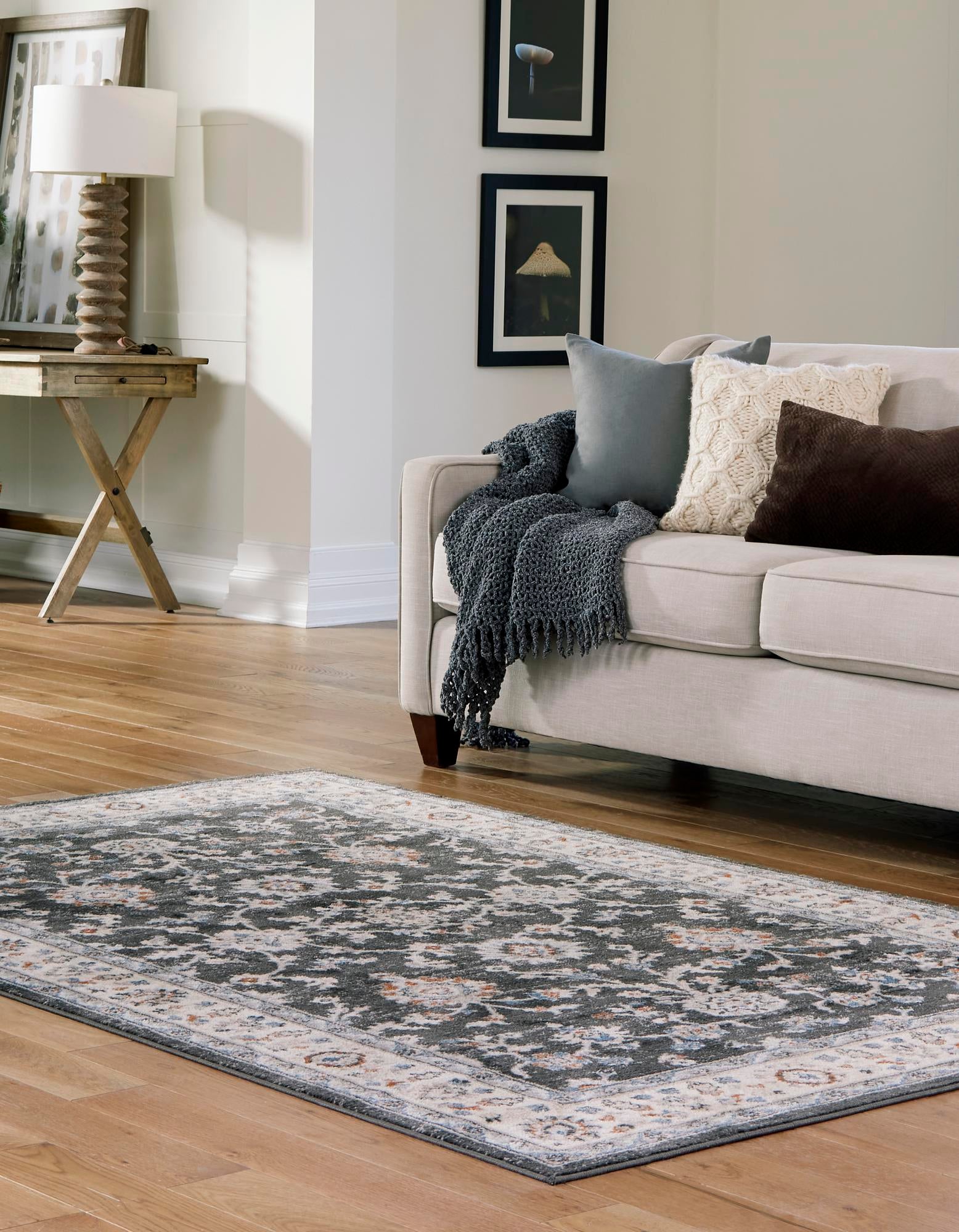 Fume Gray 4' x 6' Charlotte Rug | Rugs.com