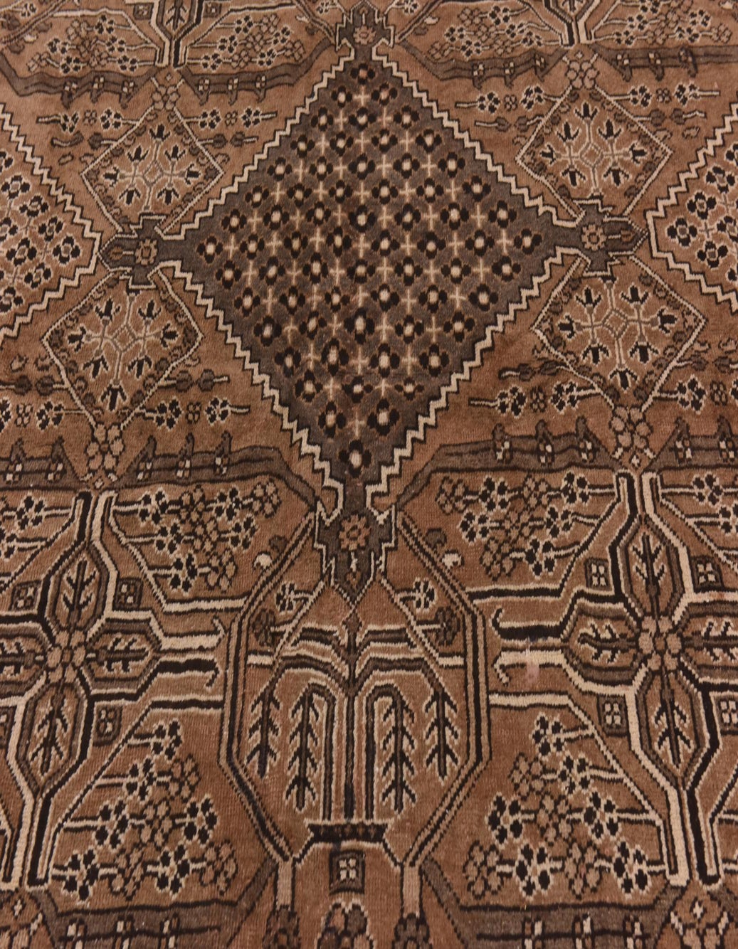 Light Brown 7' 9 x 10' 5 Hand Knotted Ferdos Persian Wool Rug | Rugs.com