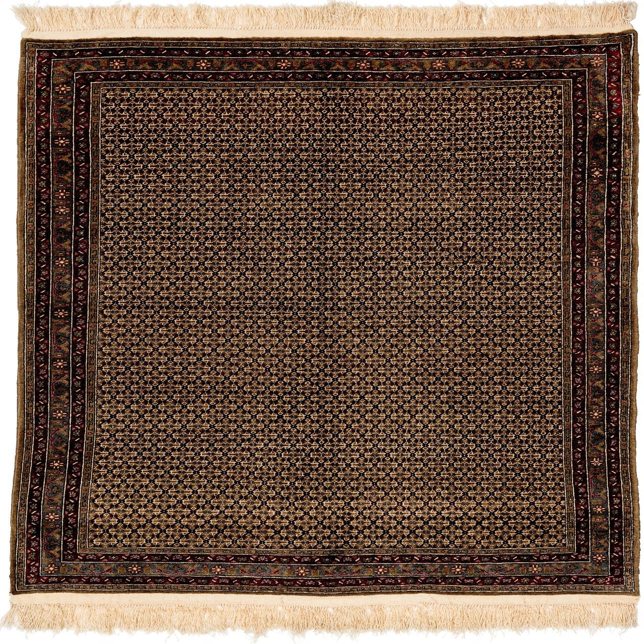 Red 5' 6 x 8' 1 Hand Knotted Bokhara Wool Rug | Rugs.com