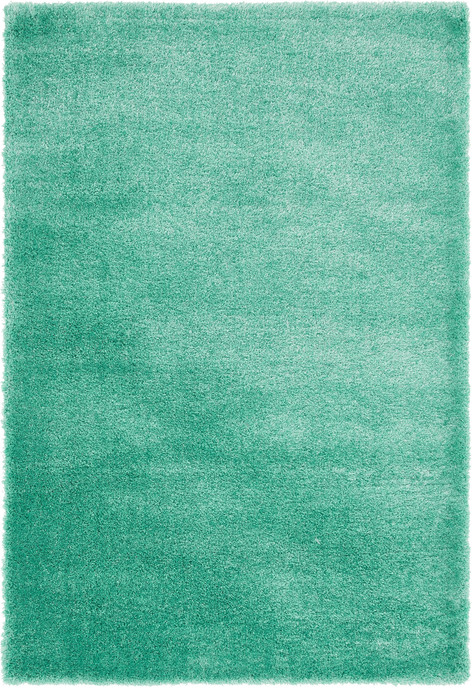 Turquoise 6' x 9' Soft Solid Shag Rug | Rugs.com